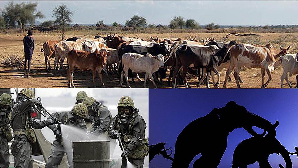 BBC World Service - Science In Action, Foot and Mouth