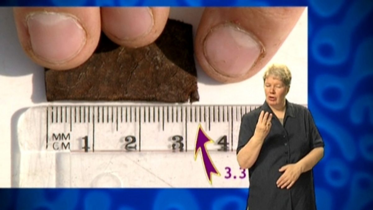 BBC Two - The Maths Channel, Fractions, Measurement - rulers and ...