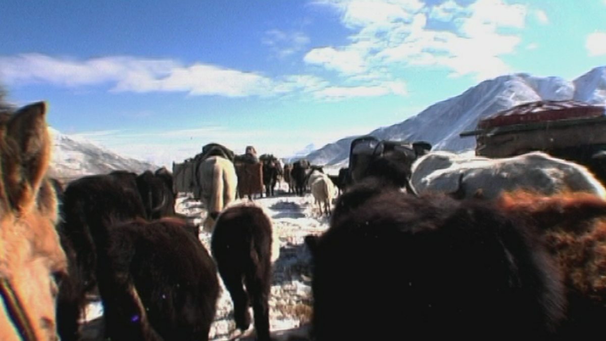 BBC Two - Tribe, Series 1, Darhad, Darhad migration and their future