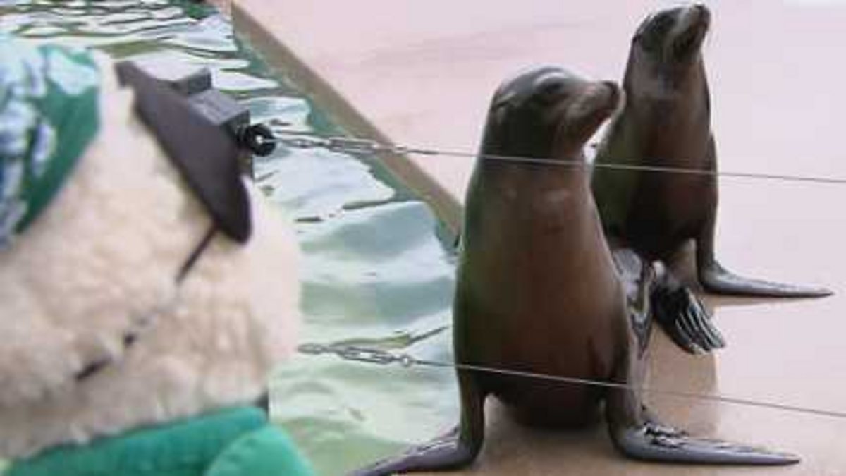 CBeebies - Same Smile, I Love to Play - Chloe