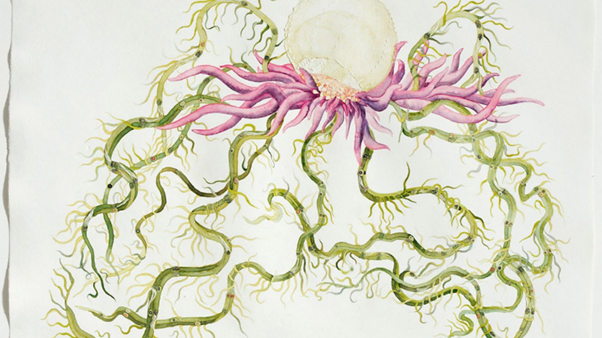 BBC - Ellen Gallagher, Watery Ecstatic, 2005 - Ellen Gallagher: AxME