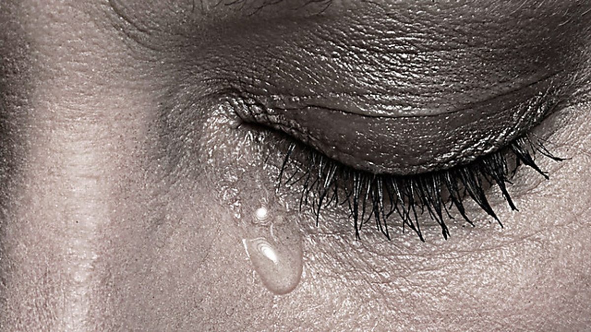 BBC World Service - Discovery, The Crying Game