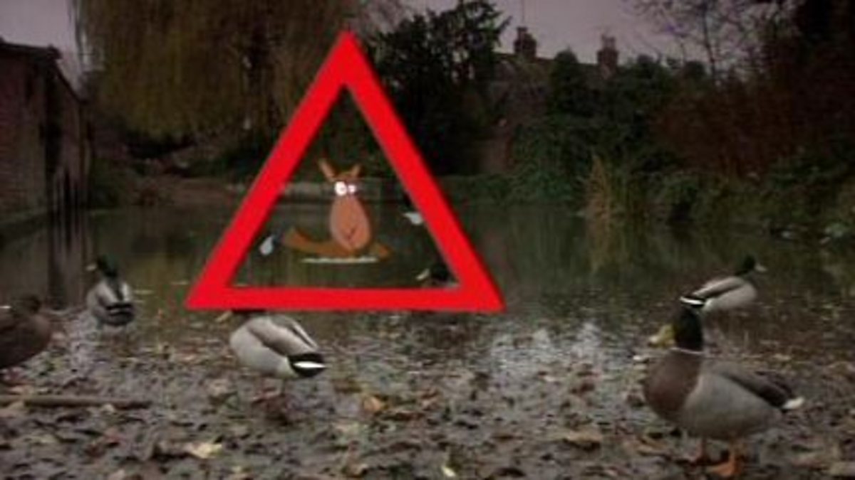 CBeebies - Nuzzle and Scratch, Water Water Everywhere