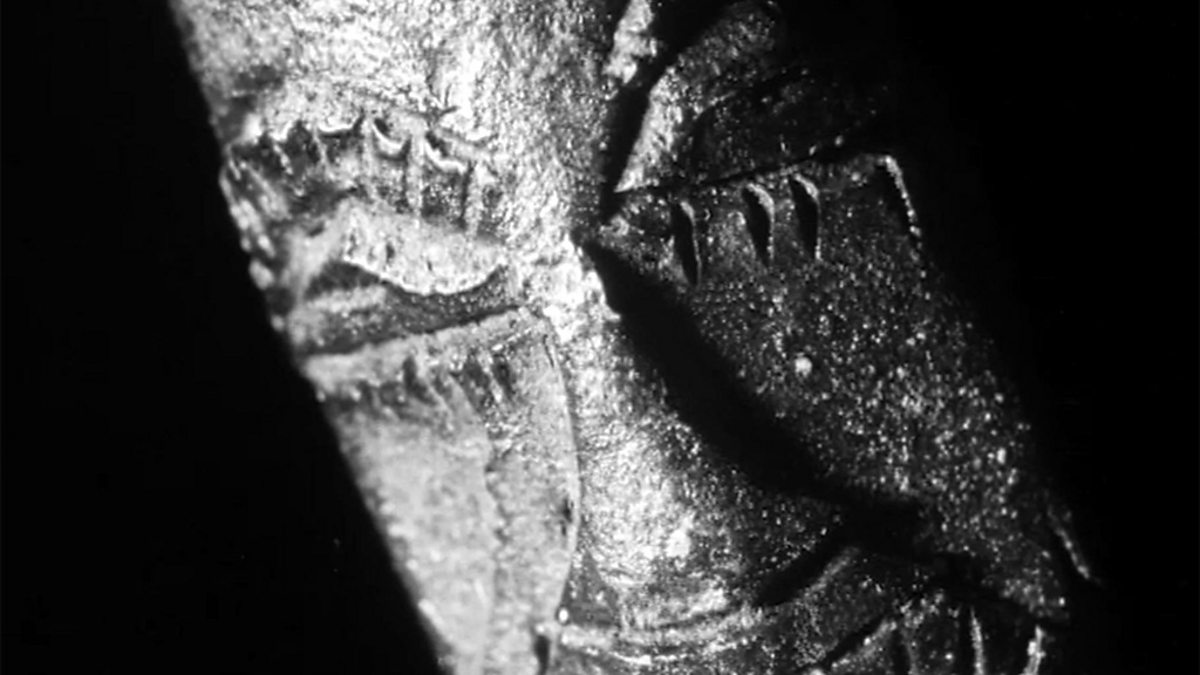 BBC - Buried Treasure, King Solomon's Mines