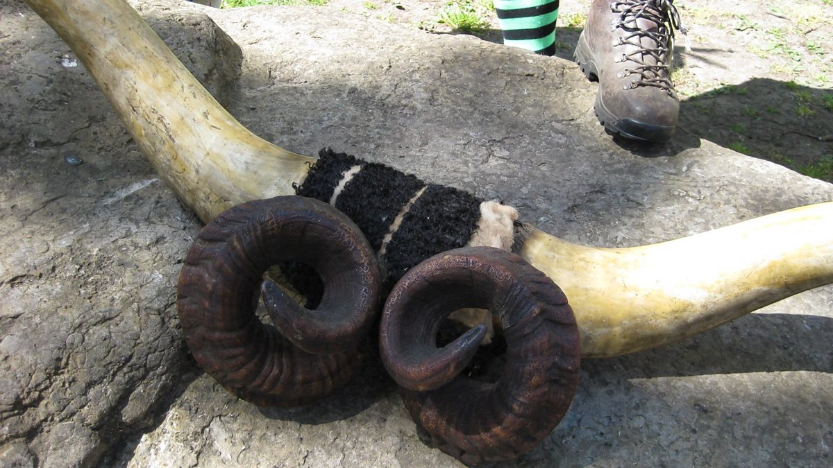 BBC Radio Norfolk - Treasure Quest, Doshing the horns, The Horns of Hockham