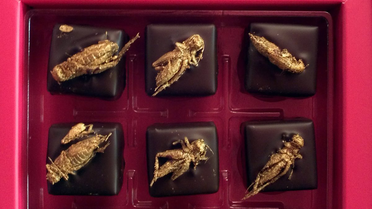 BBC World Service - Health Check, Chocolate Locust Anyone?