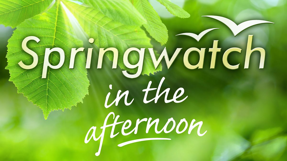 BBC Two - Springwatch in the Afternoon, Episode 2, Springwatch in the ...