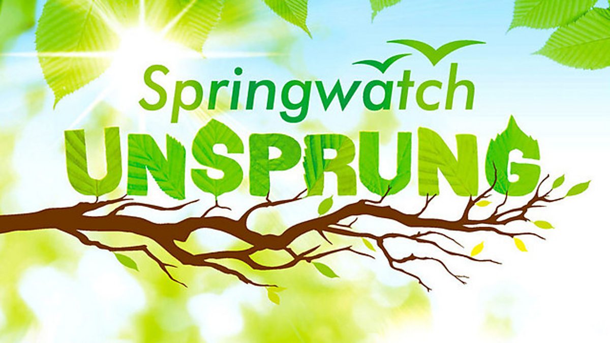 BBC Two - Springwatch Unsprung, 2013, Episode 1, Unsprung music quiz