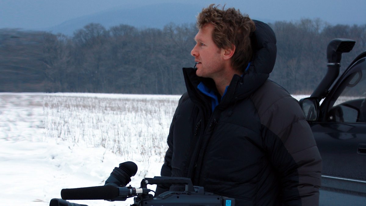 BBC Two - Operation Snow Tiger - Max Hug Williams