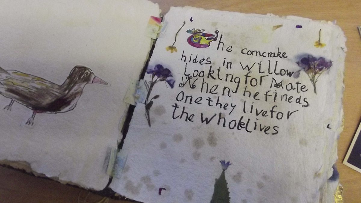 BBC Radio Ulster - Your Place and Mine, 08/06/2013, Helen Mark talks to ...