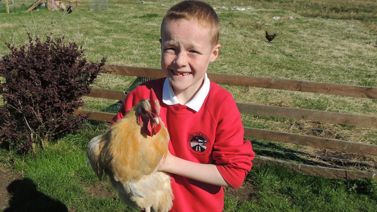 BBC Radio nan Gàidheal - Aileag - Daniel agus na peataichean aige