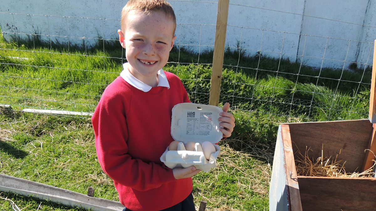 BBC Radio nan Gàidheal - Aileag, 07/06/2013, Daniel agus na peataichean ...