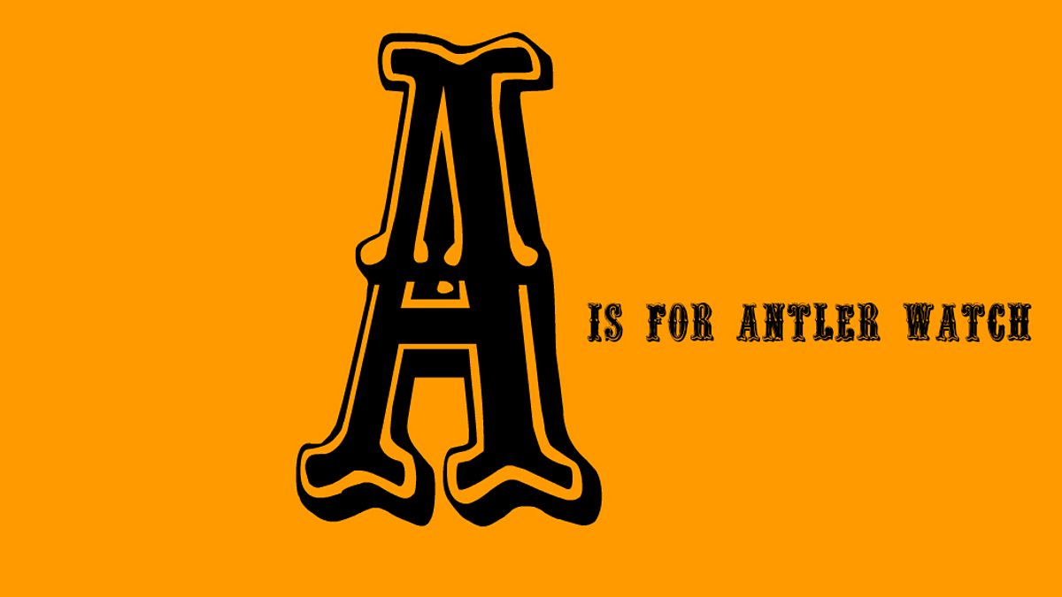 BBC Radio 2 - Alex Lester, A-Z of Alex Lester: A