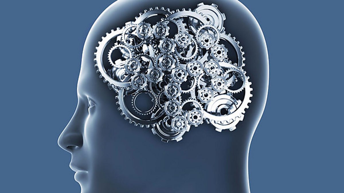 BBC World Service - Discovery, Build Me a Brain