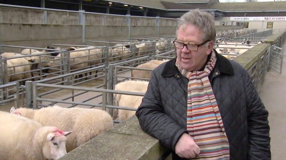 BBC Two - Flog It: Trade Secrets, Series 1, Something for Nothing ...