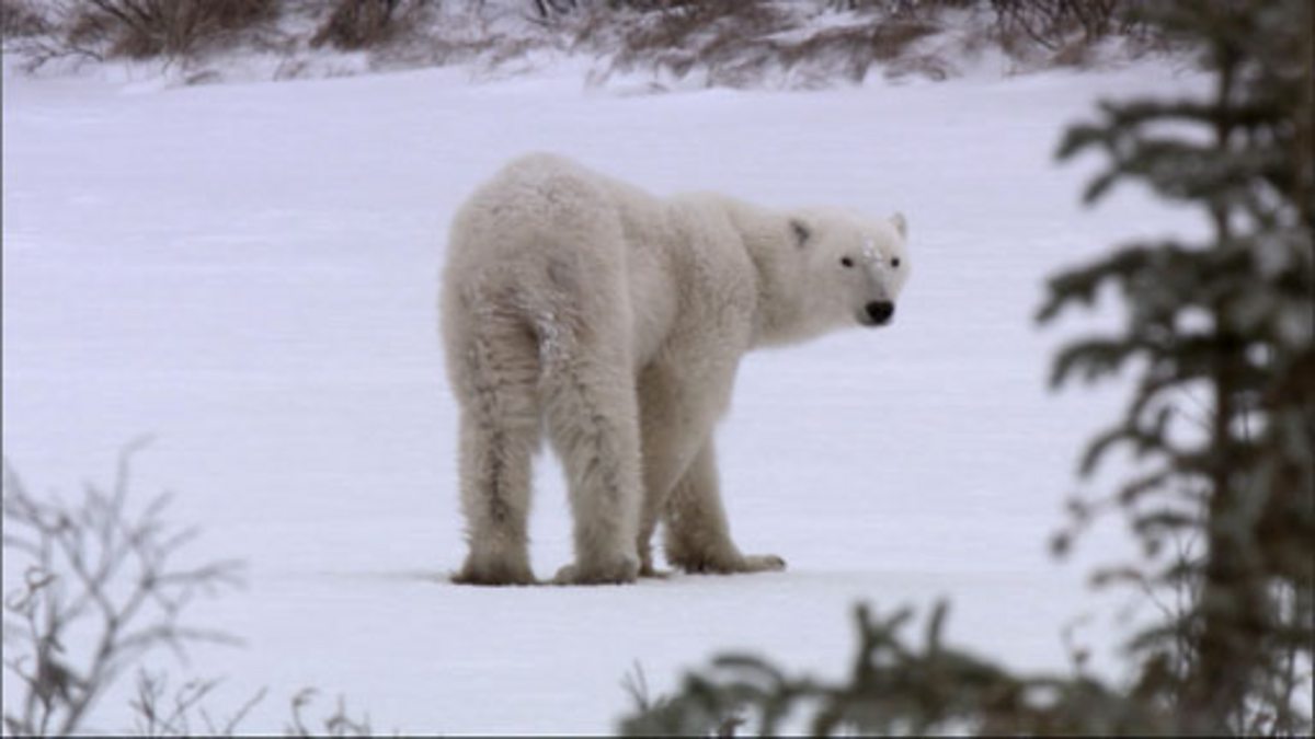BBC Two - Human Planet: Change and Sustainability, KS2, Living ...