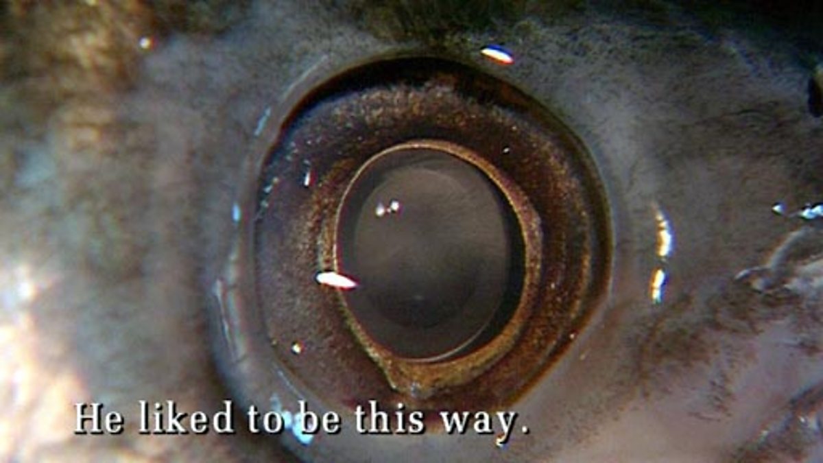 BBC Two - English Express, Ideas and Imagination - Creating Worlds ...