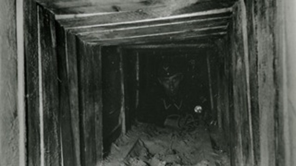 BBC Four - Late to the game - Storyville, The Real Great Escape - The ...