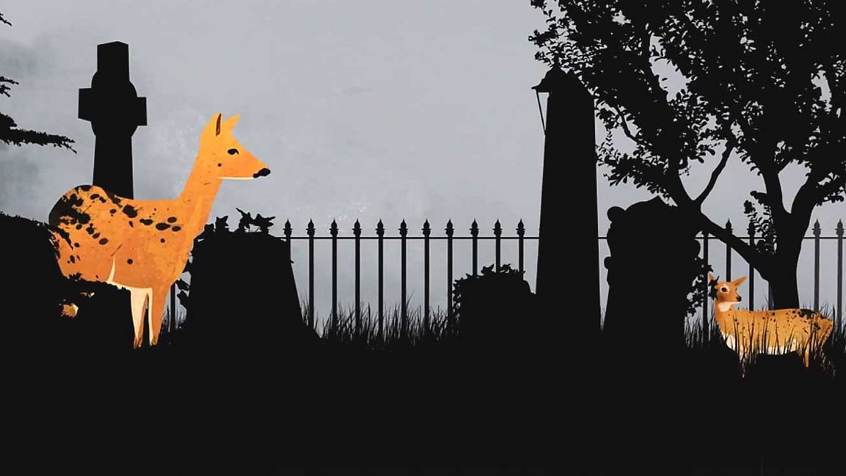 BBC One - Urban Jungle, Inside the urban jungle