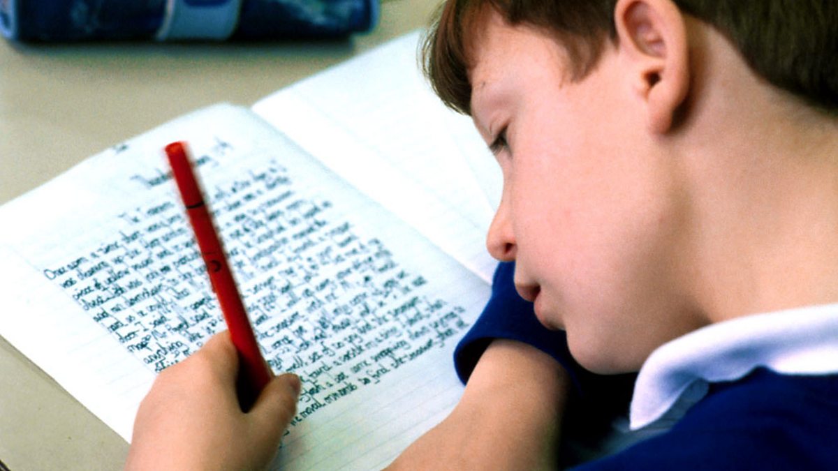 BBC Radio 4 - Teacher Versus Tutor, 'Tutoring market is the Wild West ...