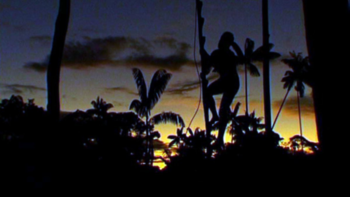 BBC Two - Indigenous Peoples: Climate and Eco-Systems, The Kombai ...