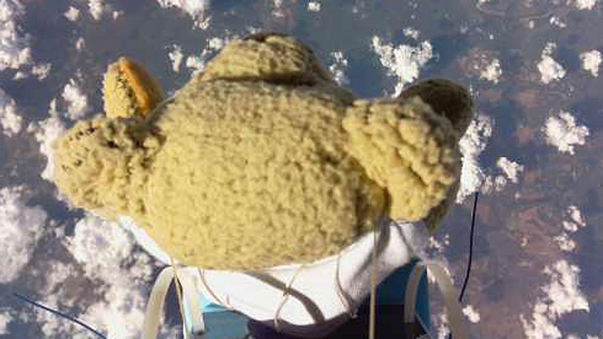 BBC World Service - Digital Planet, Pi-powered Teddy Bear