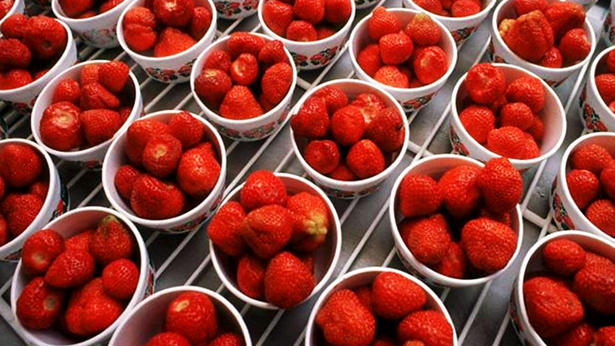 BBC Radio 4 - The Food Programme, The Berry Business