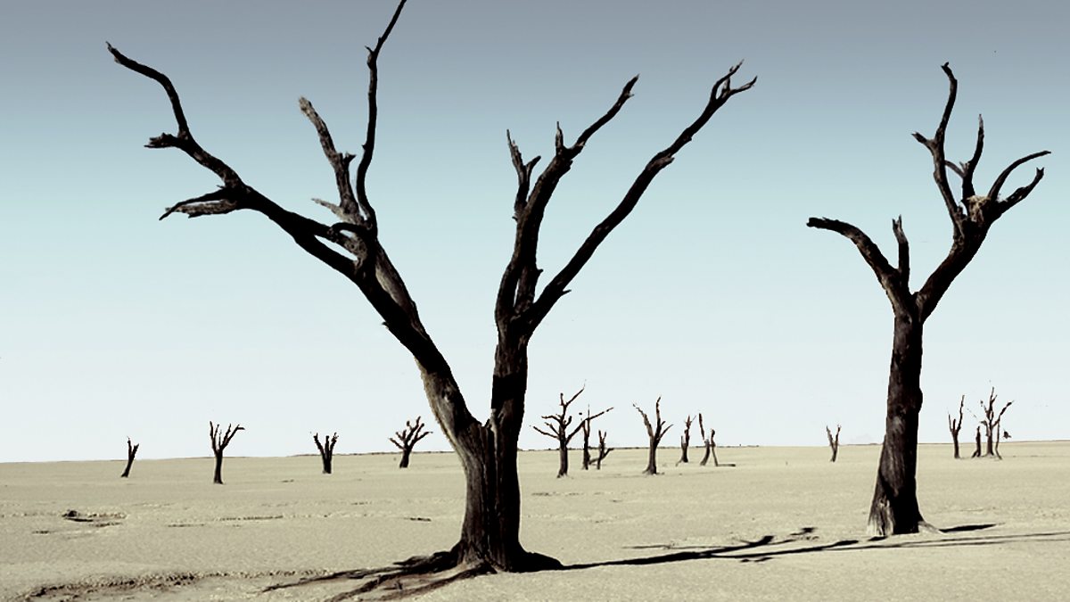 BBC Radio 4 Extra - John Wyndham - The Chrysalids