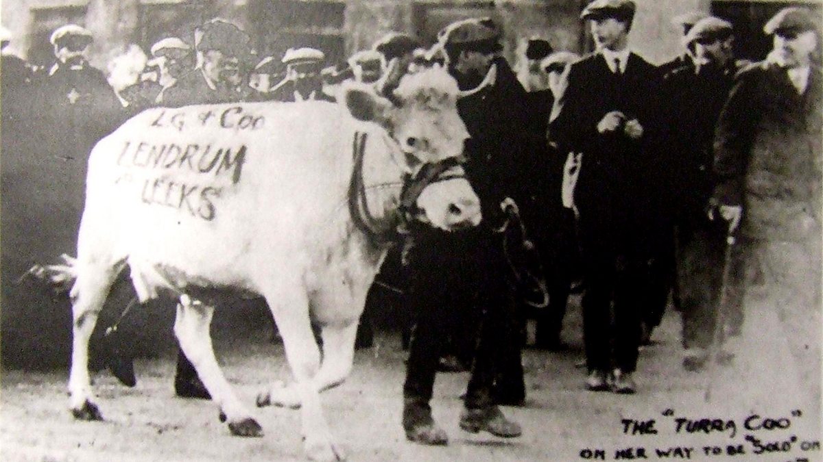 BBC Radio Scotland - The Turra Coo