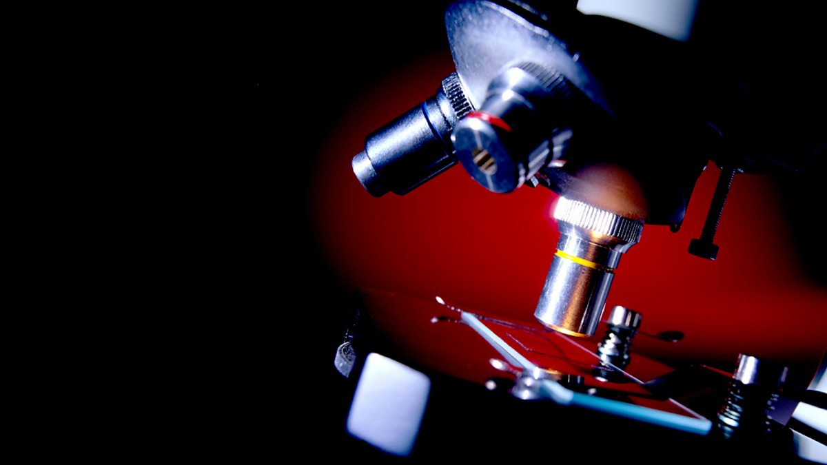 BBC Four - In Search of Spanish Flu