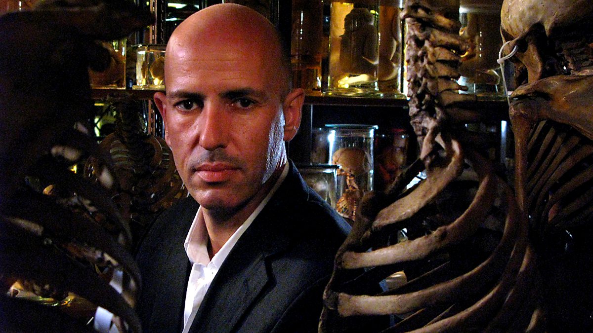 BBC Four - What Darwin Didn't Know