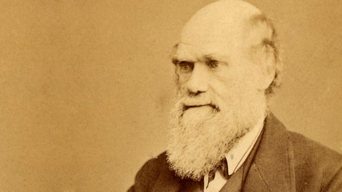 BBC Radio 4 - Darwin Songs