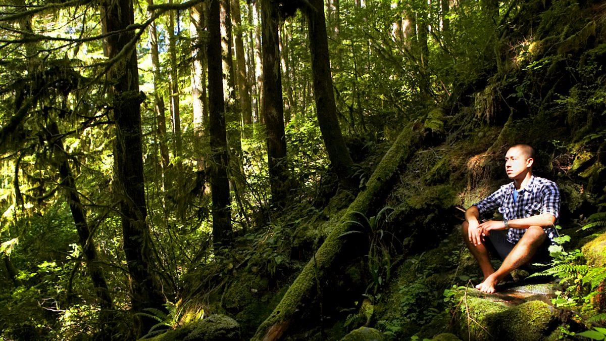 BBC Radio 4 Extra - Report On The Barnhouse Effect by Kurt Vonnegut