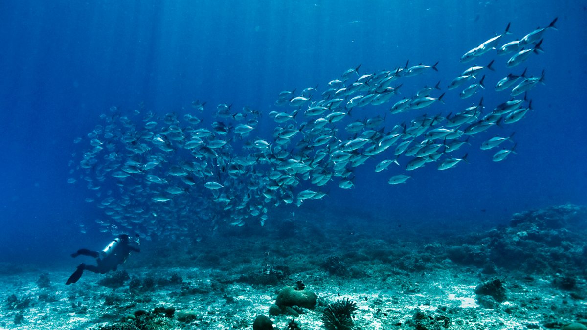 BBC Radio 4 - The Food Programme, Food and Film