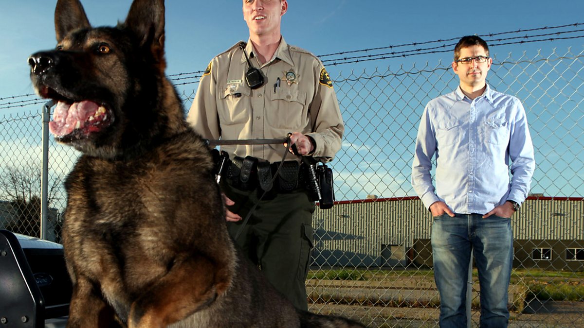 BBC Two - Louis Theroux, The City Addicted to Crystal Meth