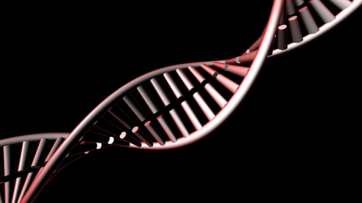 BBC Radio 4 - The Naming of Genes