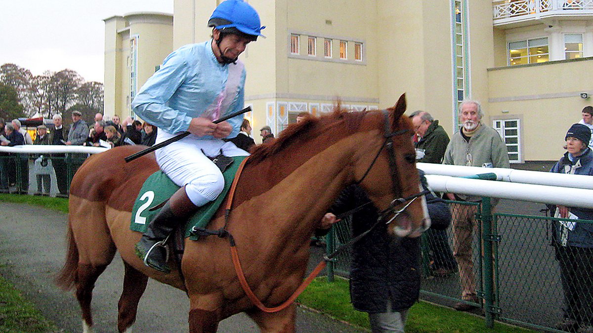 BBC Radio 4 - Jumbo to Jockey