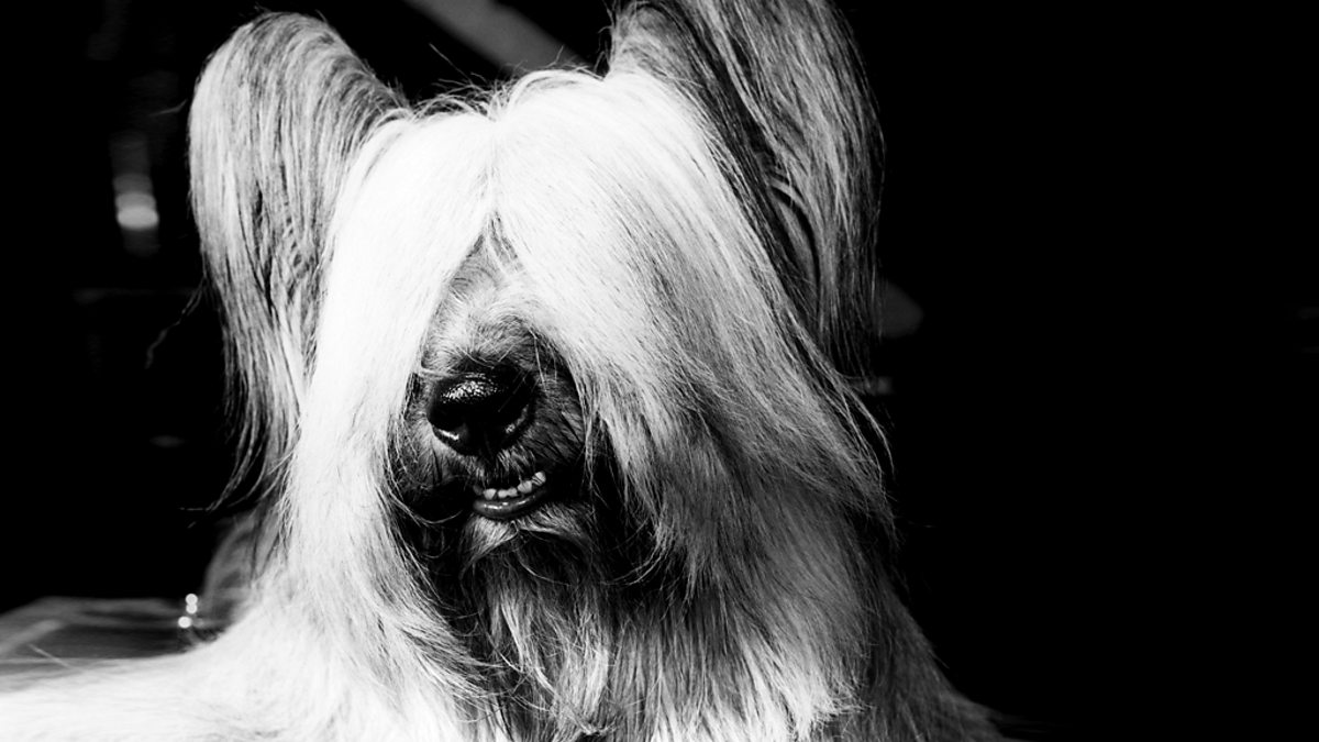 BBC Radio 4 Extra - Ronald Frame - Greyfriars