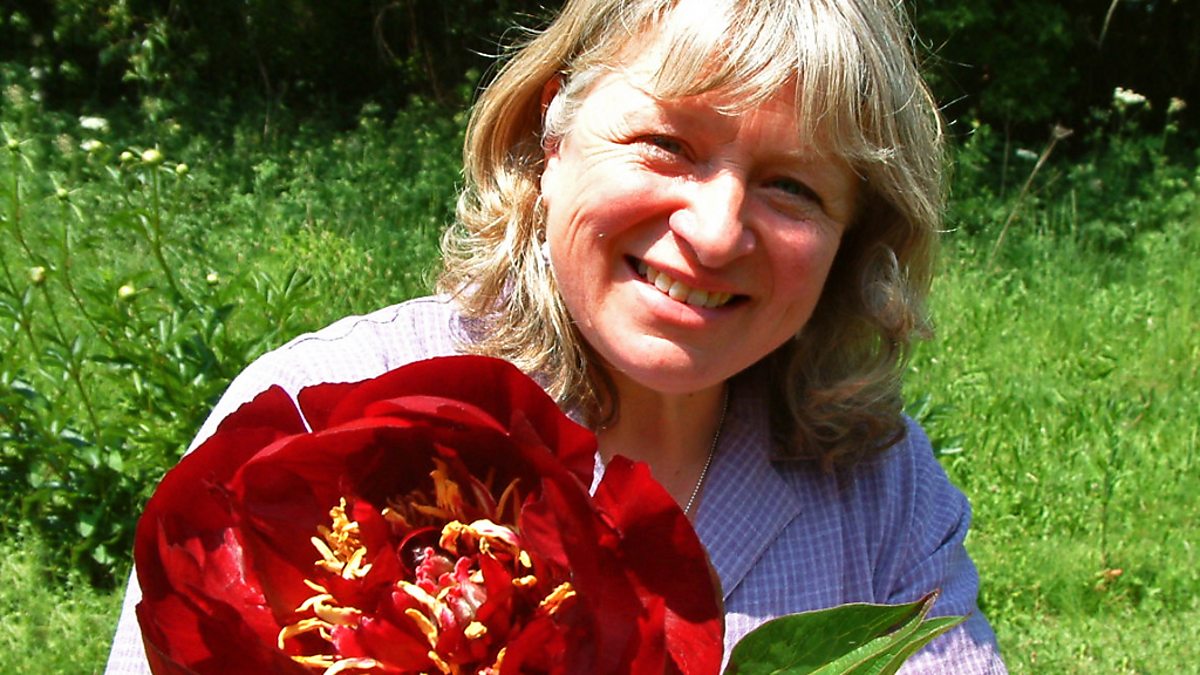 BBC Radio 4 - Gardeners' Question Time, 11/06/2010