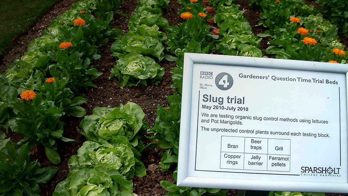 BBC Radio 4 - Gardeners' Question Time, 09/07/2010