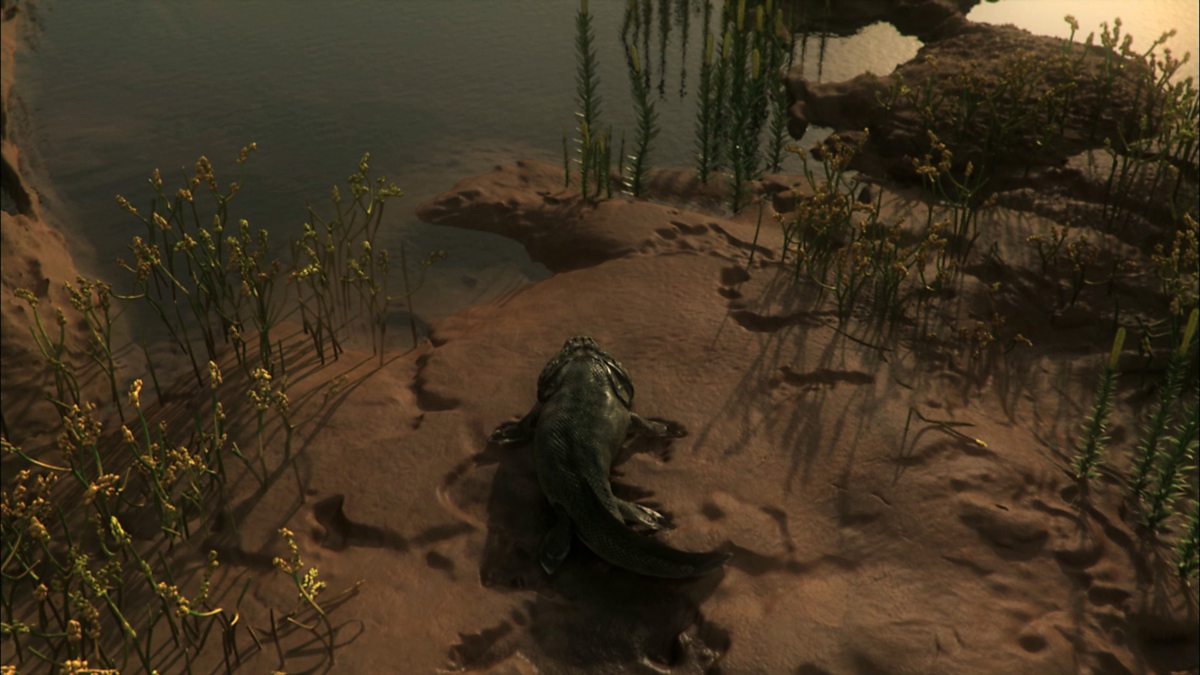 BBC Two - David Attenborough's Rise of Animals: Triumph of the ...