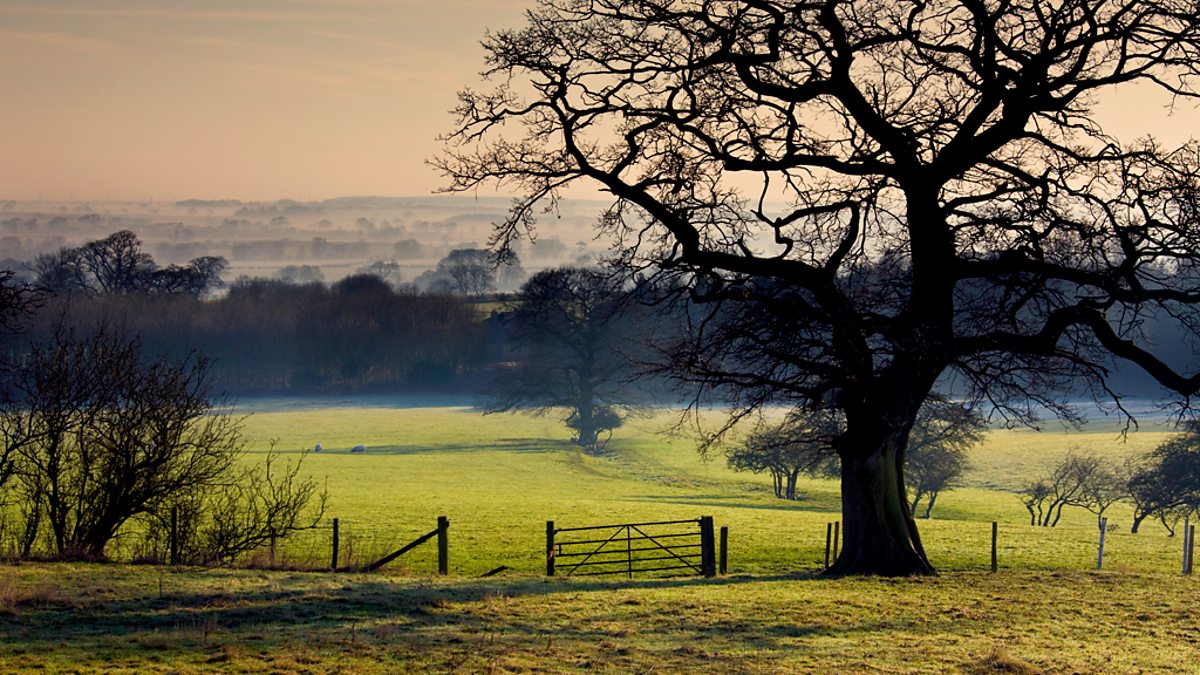 BBC Four - The Yorkshire Dales on Film