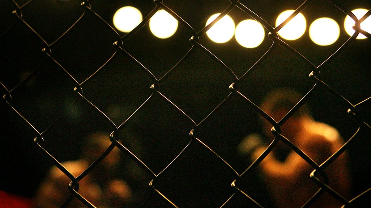 BBC Radio 4 - Inside the Cage