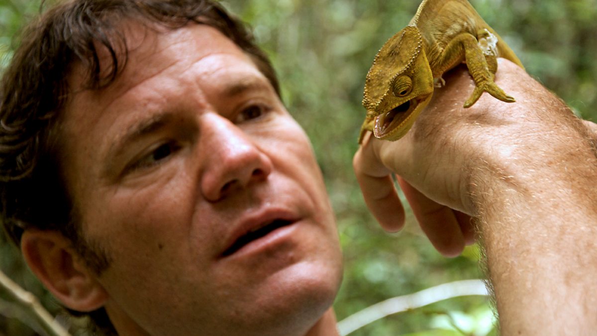 Deadly 60 - Series 2: 11. Madagascar - BBC iPlayer