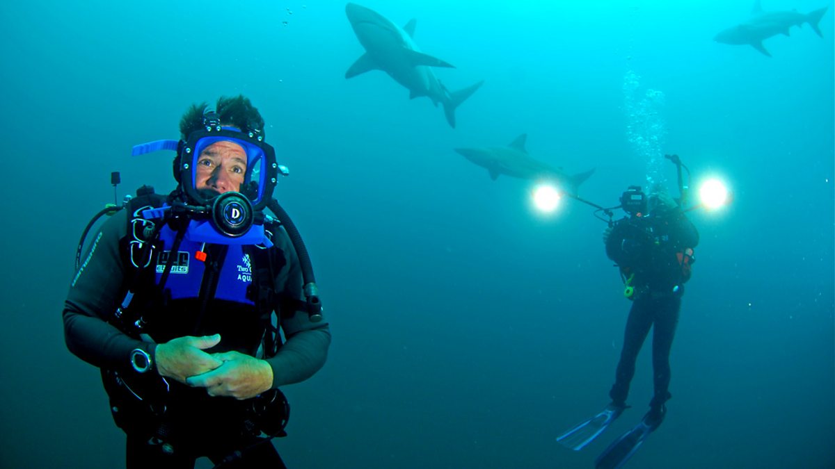 Deadly 60 - Series 2: 8. South Africa - BBC iPlayer