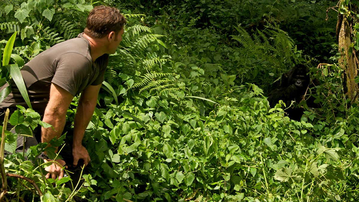 Deadly 60 - Series 2: 12. Uganda - BBC iPlayer