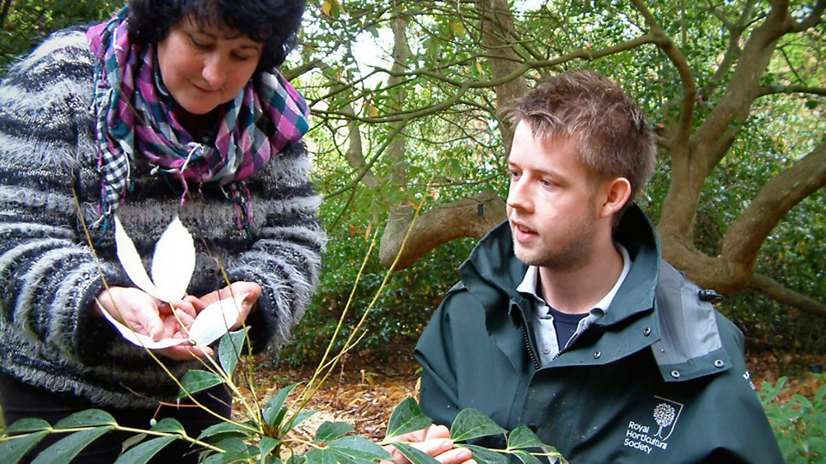 BBC Radio 4 - Gardeners' Question Time, Grayshott Gardeners, Hampshire