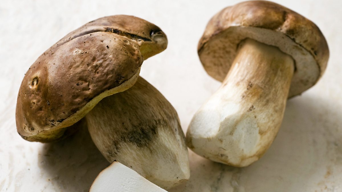 BBC Radio 4 - The Joy of Ceps