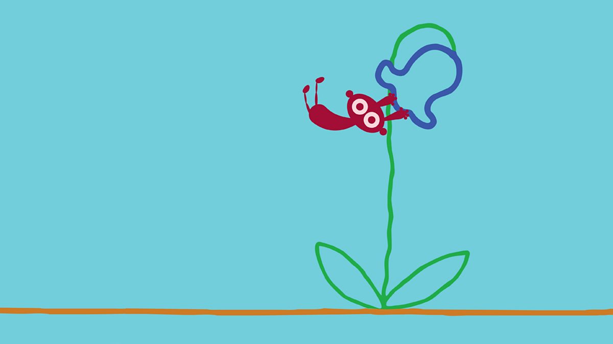 CBeebies - Dipdap, Flowers