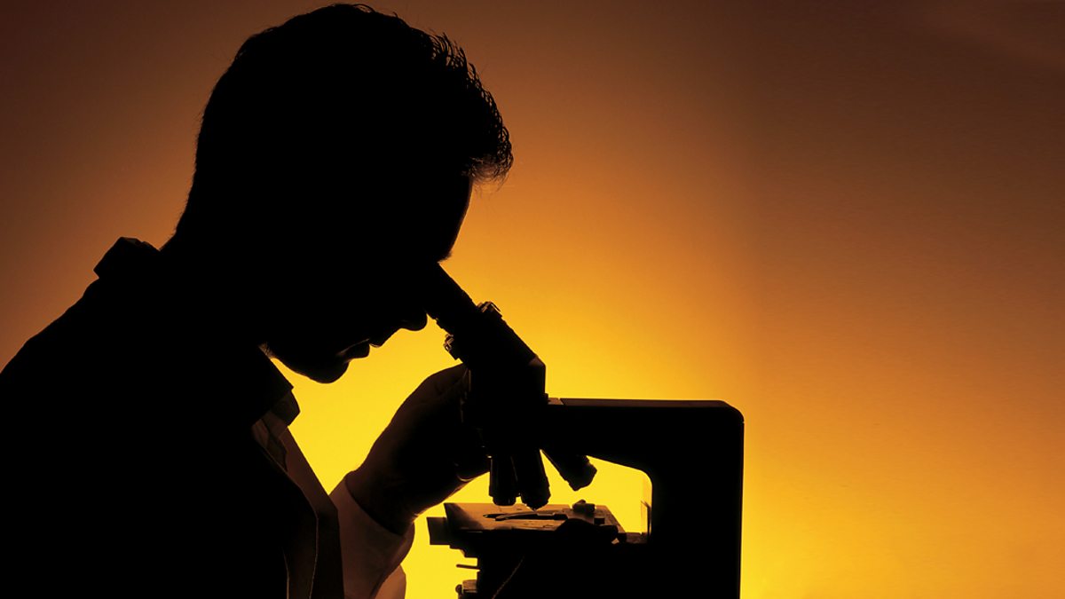 BBC Radio 4 - Genius Unrecognised, Microscopes